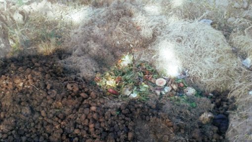 Sir Albert Howard & Composting at Ikaki Bagh - Ikaki Bagh
